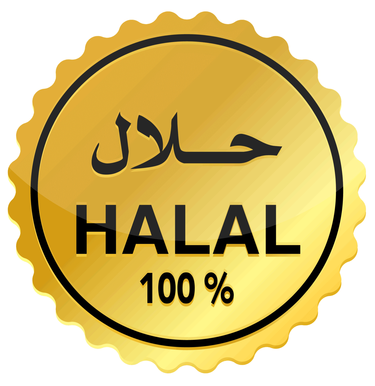 Best buffalo wings in virginia | Halal Wings